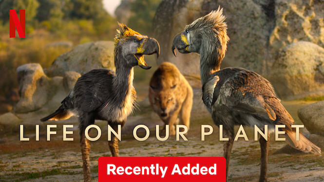 25th Oct: Life on Our Planet (2023), 8 Episodes [PG] (6/10) : r ...